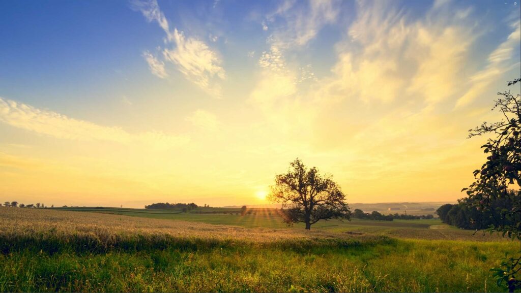 Iron Mound Outfitters - Field-Crafted Hunting in the Heart of Kansas